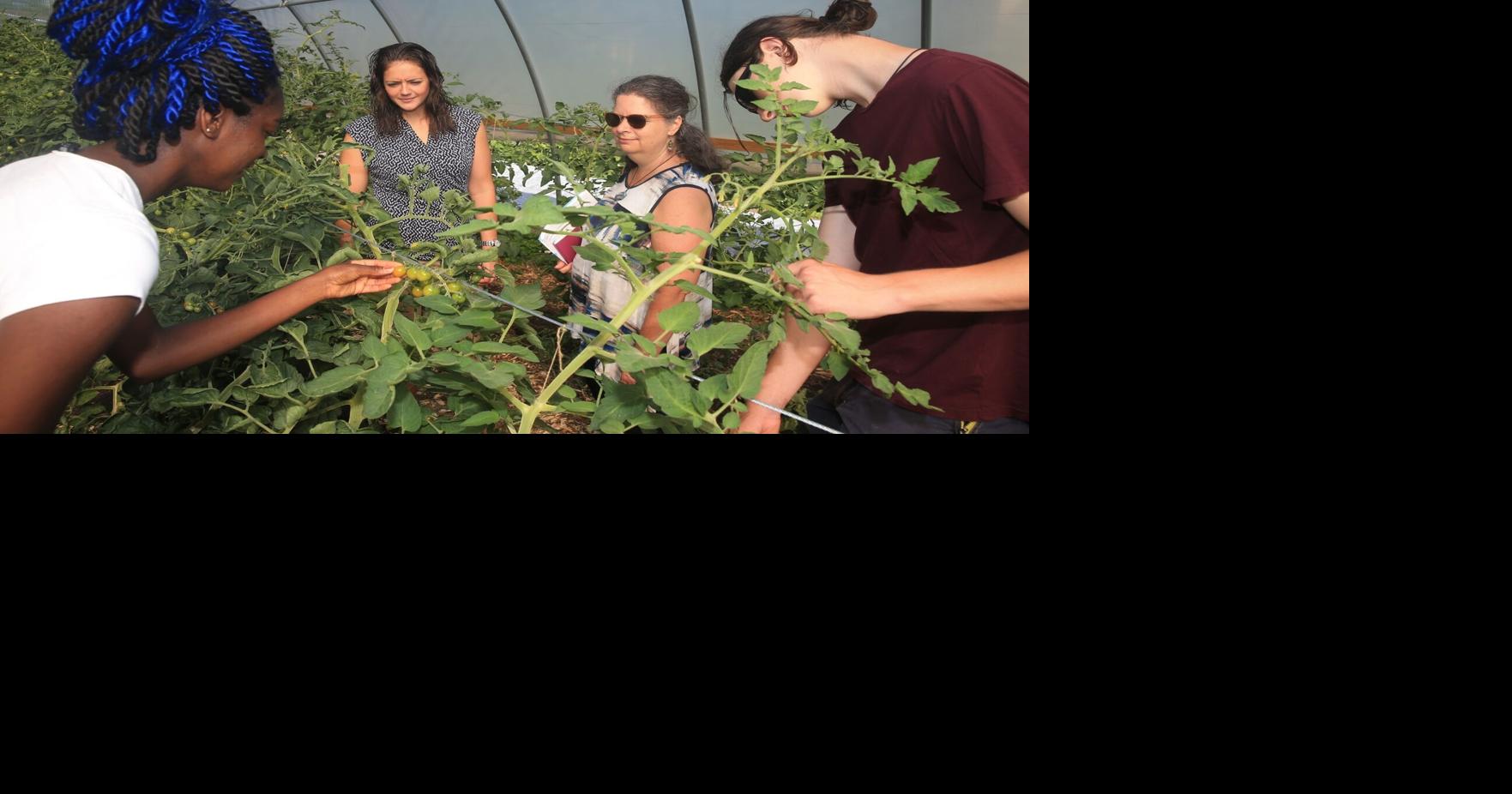 Local agriculture in the spotlight at farm-to-fork event Saturday
