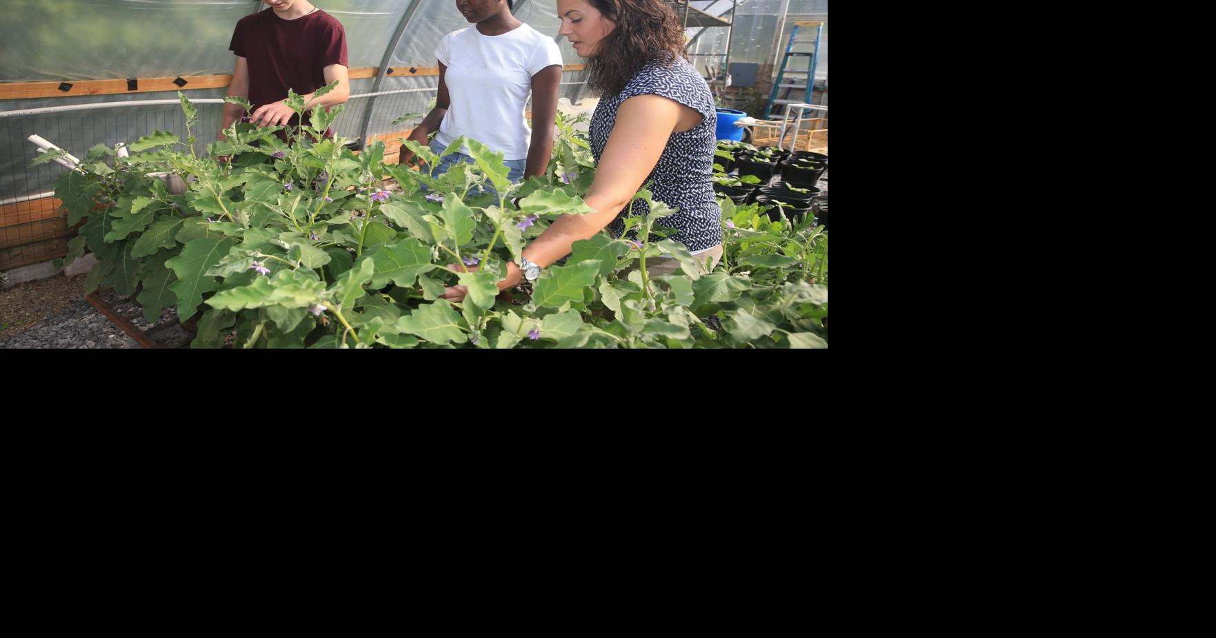 Teens learn farming – and life skills – through Growing Green