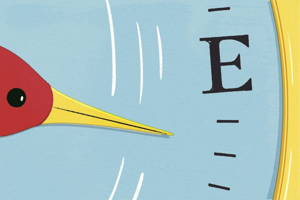 Science: Radio signals confuse birds’ internal navigation; new neurons ...