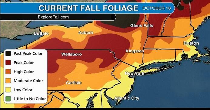 Fall Foliage Update: Northeast Colors Slow to develop