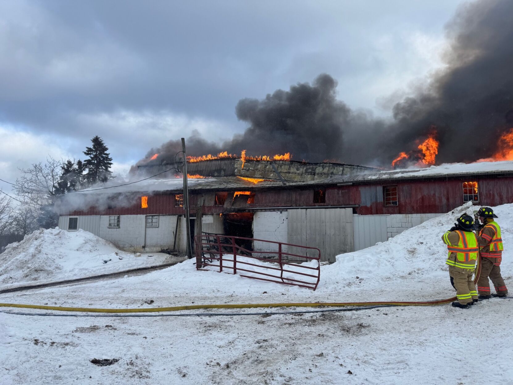 'Devastating' fire may be end of South Wales dairy farm