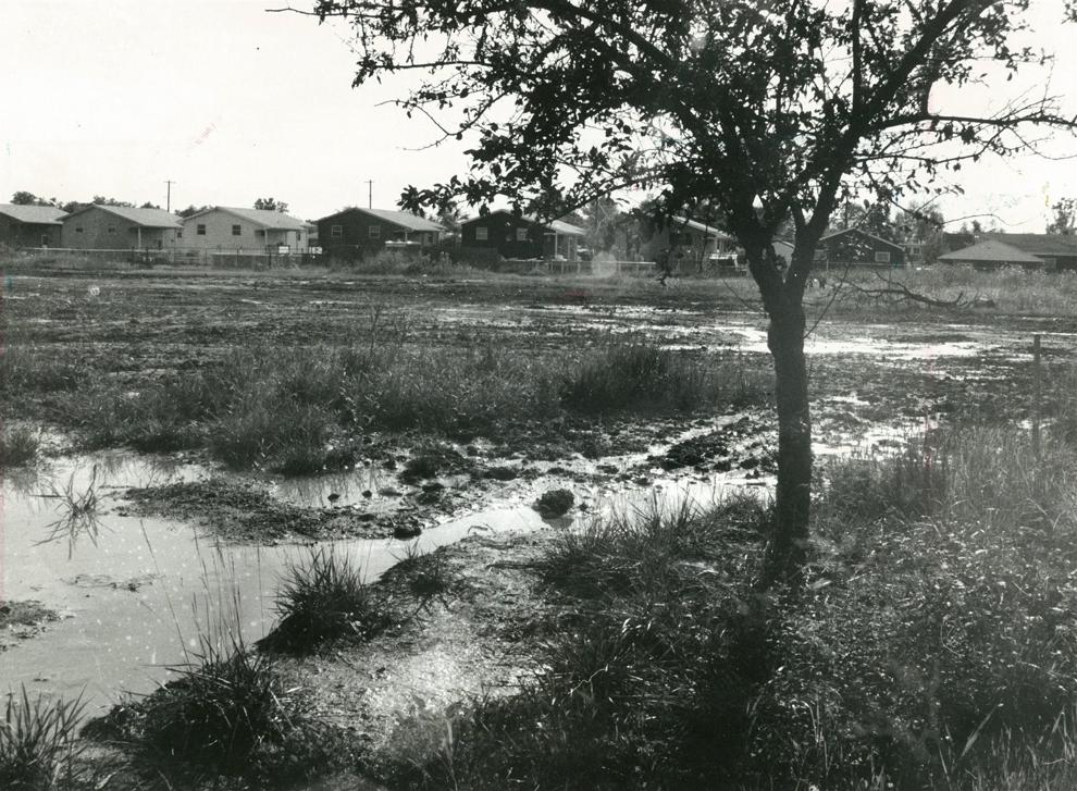 Photos: The Love Canal disaster