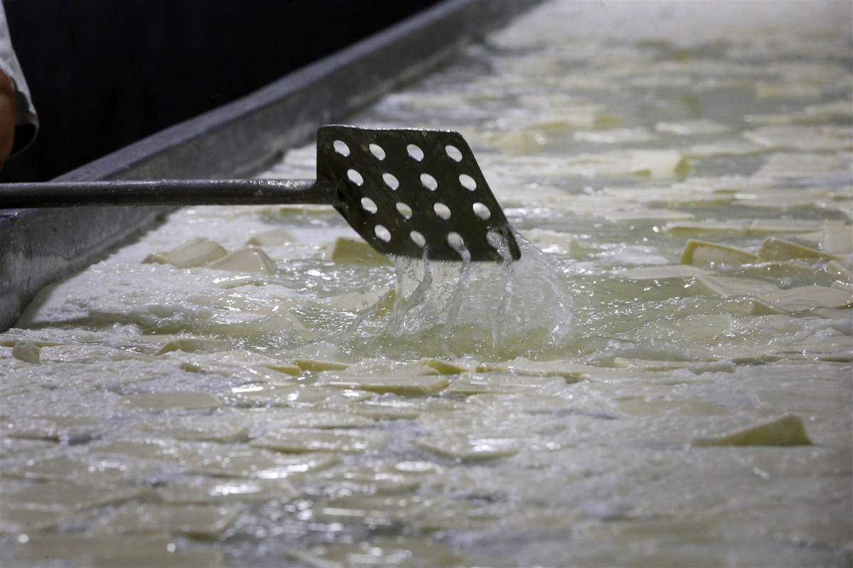 Lactalis aims to fill 60 jobs at Buffalo plant