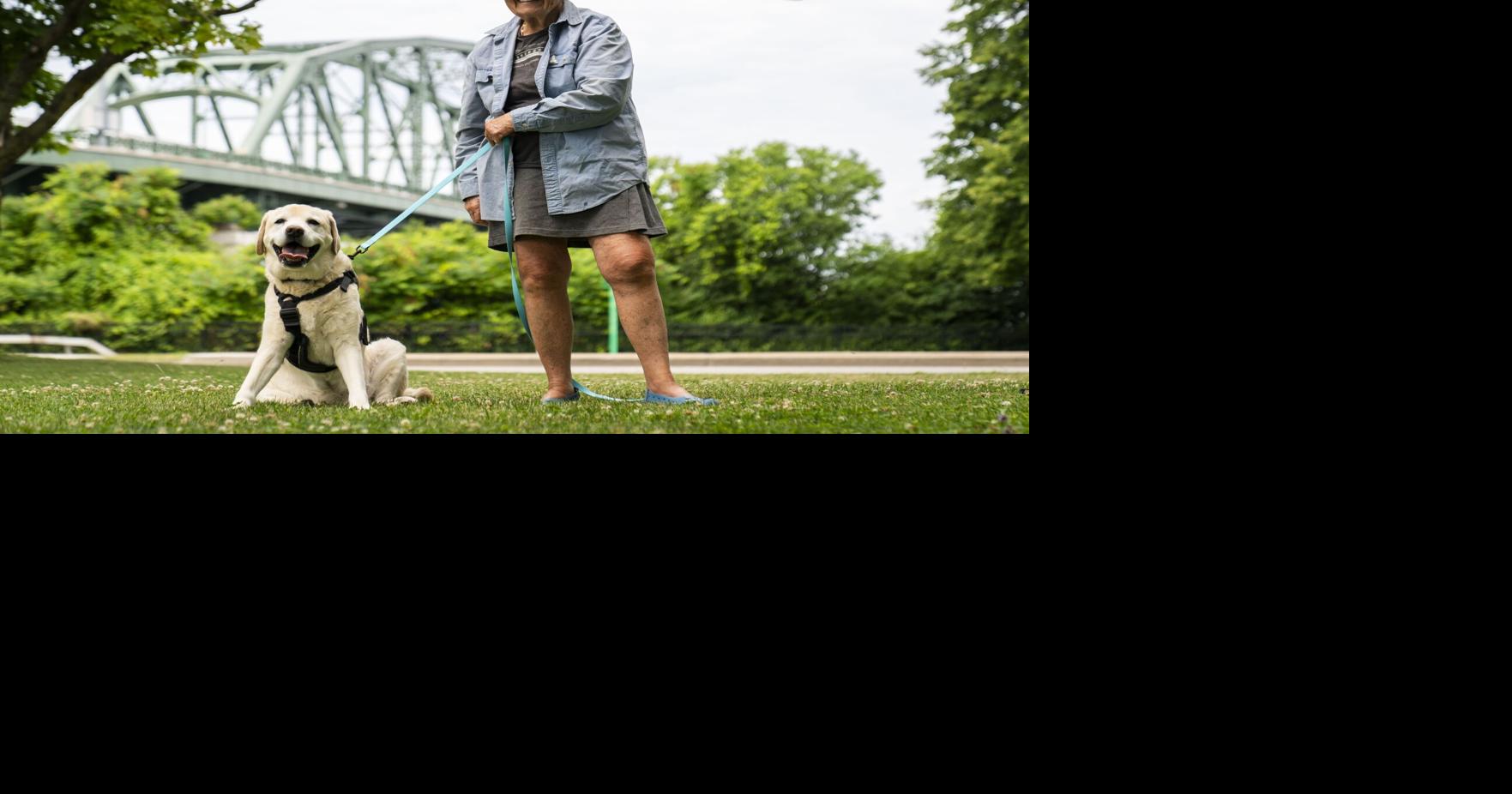 Border delays and angry dog owners should be avoided by CDC