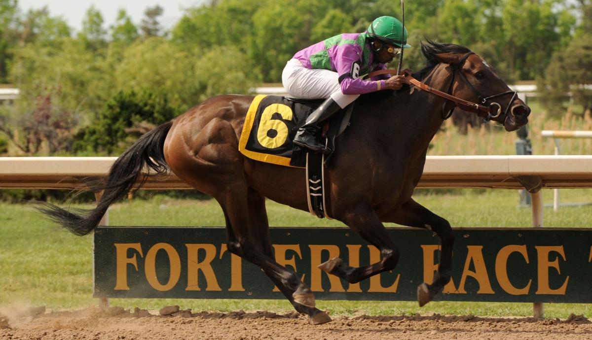 Fort Erie Race Track put up for sale by Paladino-led group