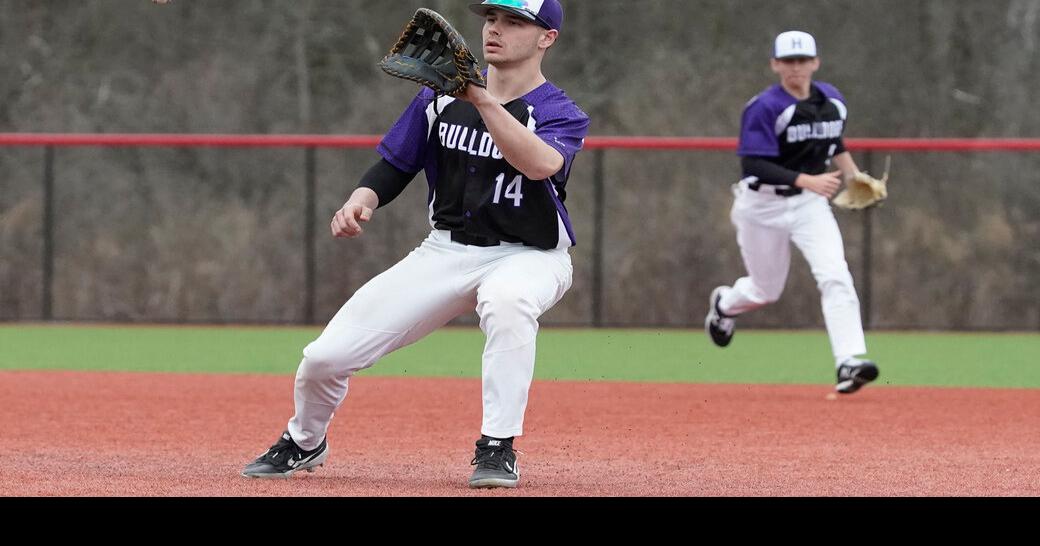 Hamburg baseball focused on new season with hopes of another ...