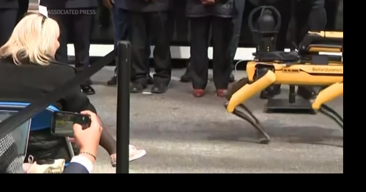RoboCop? No, RoboDog: Robotic dog rejoins New York police