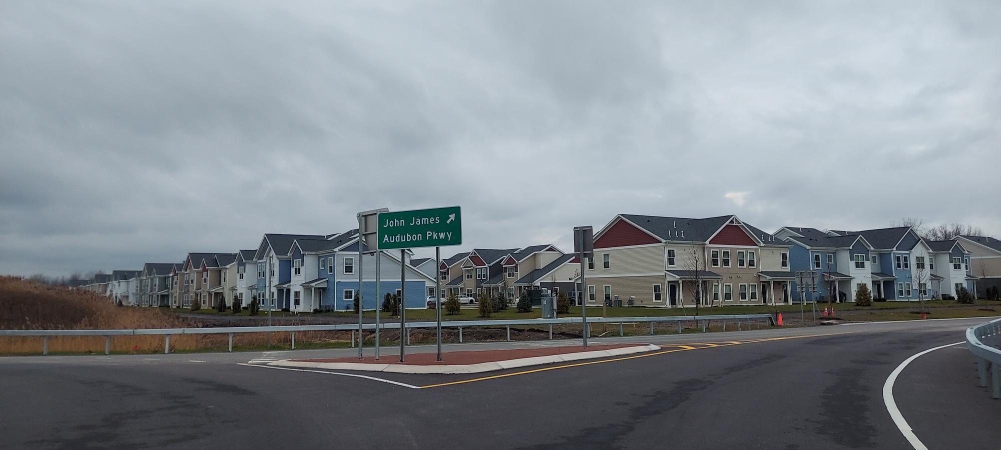 Aspen Buffalo roundabout
