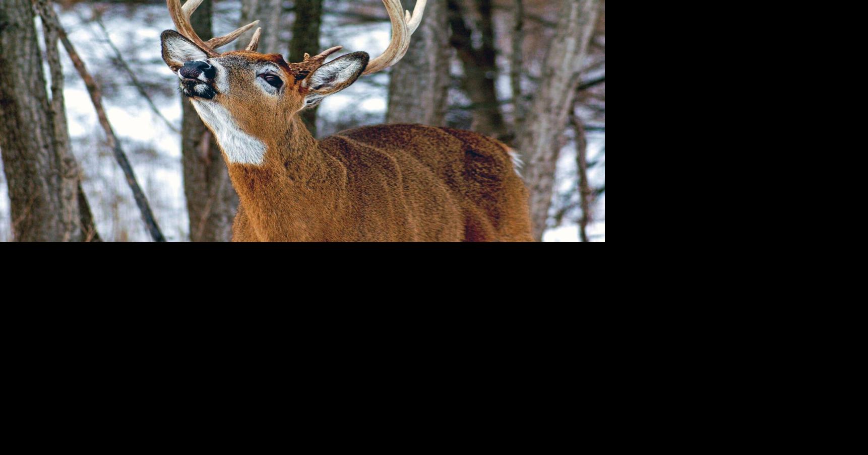 Scattershot: Archery tune-up shoots at Evans Rod & Gun Club