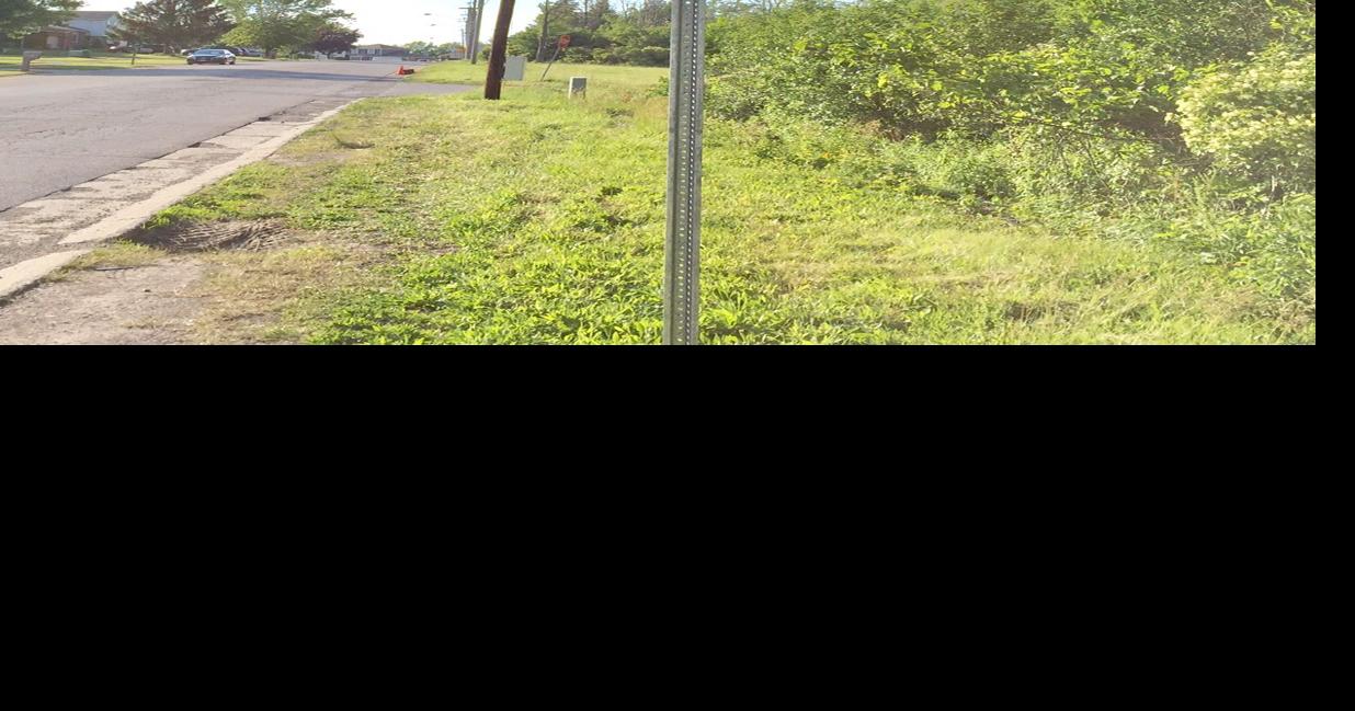 Traffic signs tiff points to heated campaign for Hamburg highway ...