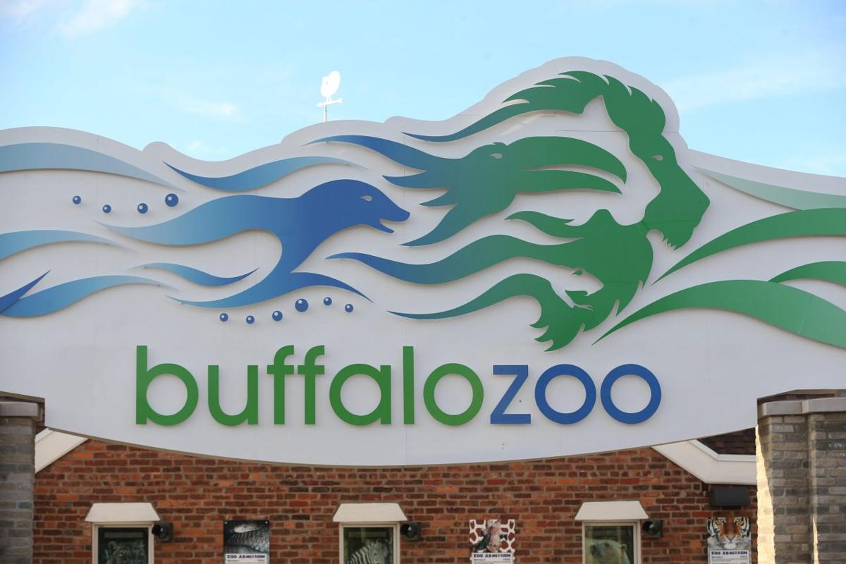 Red-footed tortoise reported stolen from Buffalo Zoo