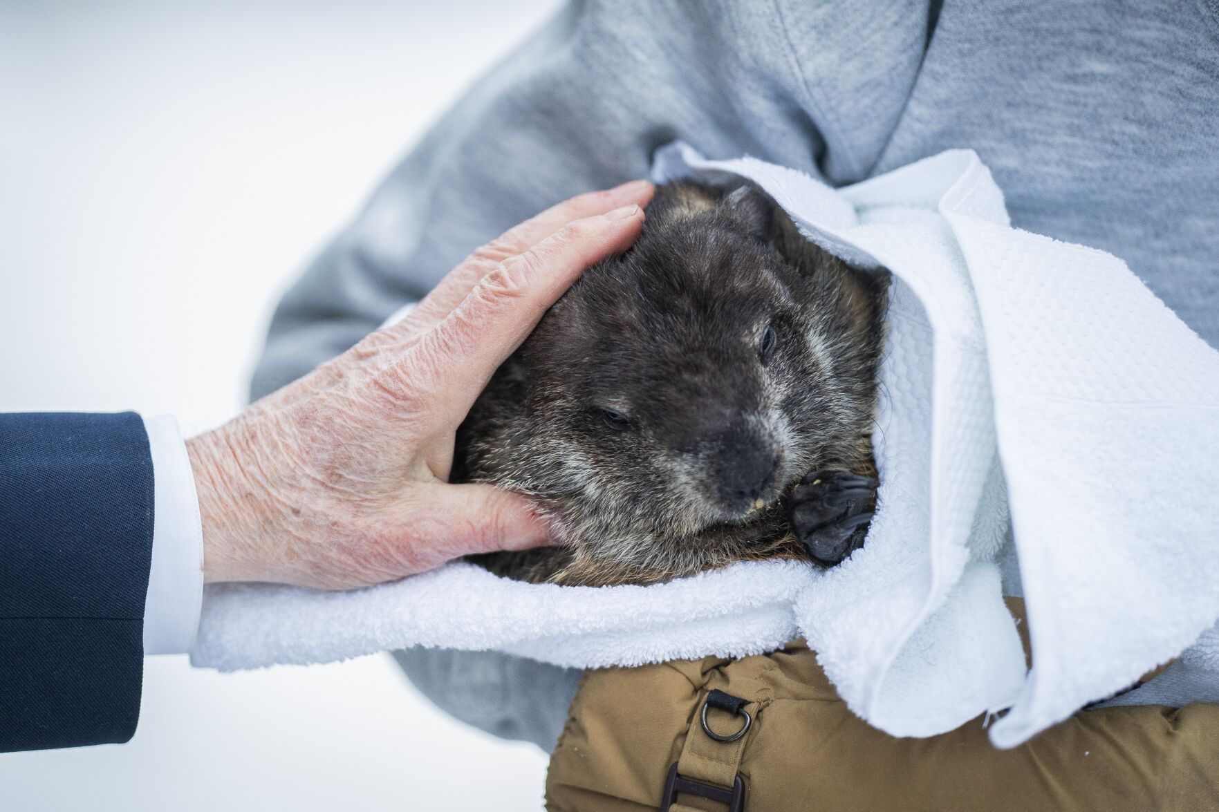 Dunkirk Dave celebrates Groundhog Day tradition