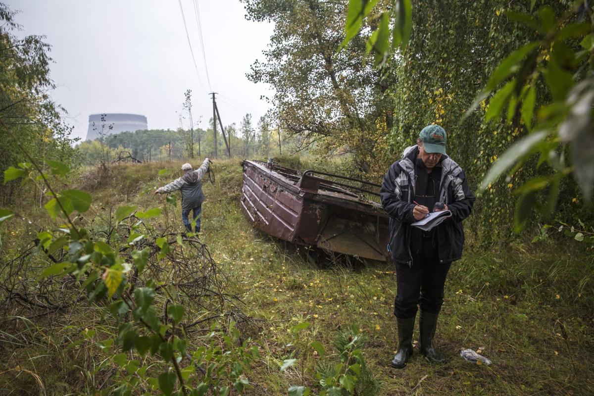 Nature adapts to Chernobyl: Chronic exposure to radiation seems to be ...