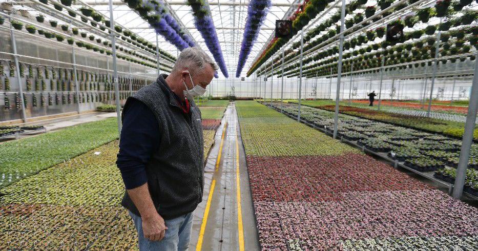 Emergency bailout program is a start, but family farms will need more