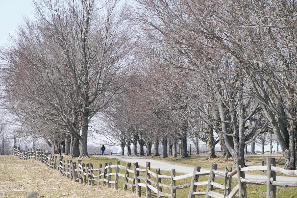 Grant to help restore sunroom at Mansion at Knox Farm