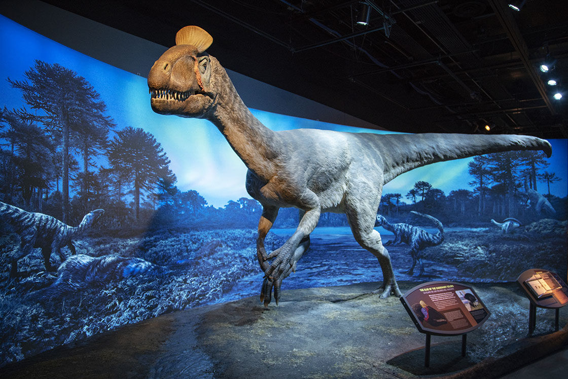 'Antarctic Dinosaurs' coming to Buffalo