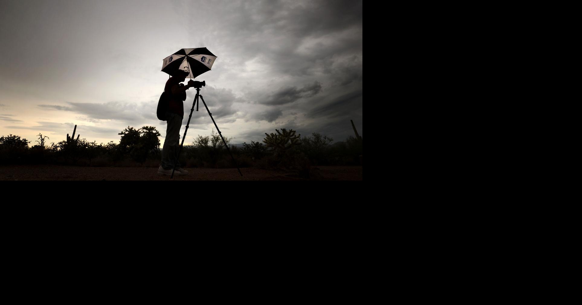 Photos: Monsoon 2021