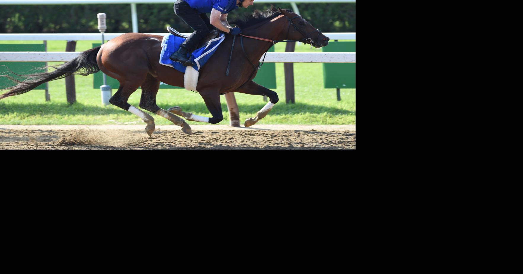 Post Time: Whitney Stakes stacked with talent