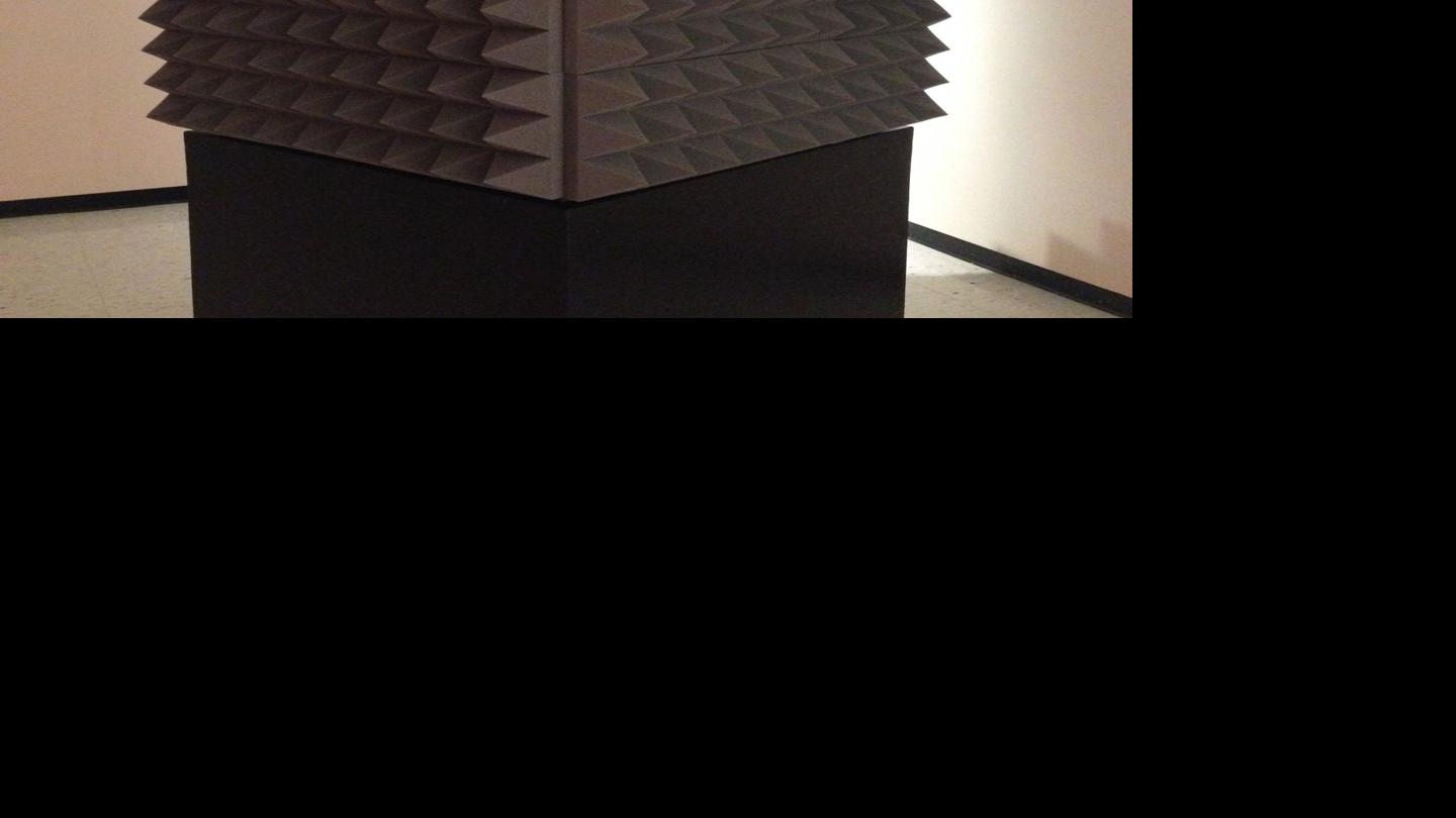 A closer look: Alexandra Spaulding's 'inside out, outside in' | Arts ...