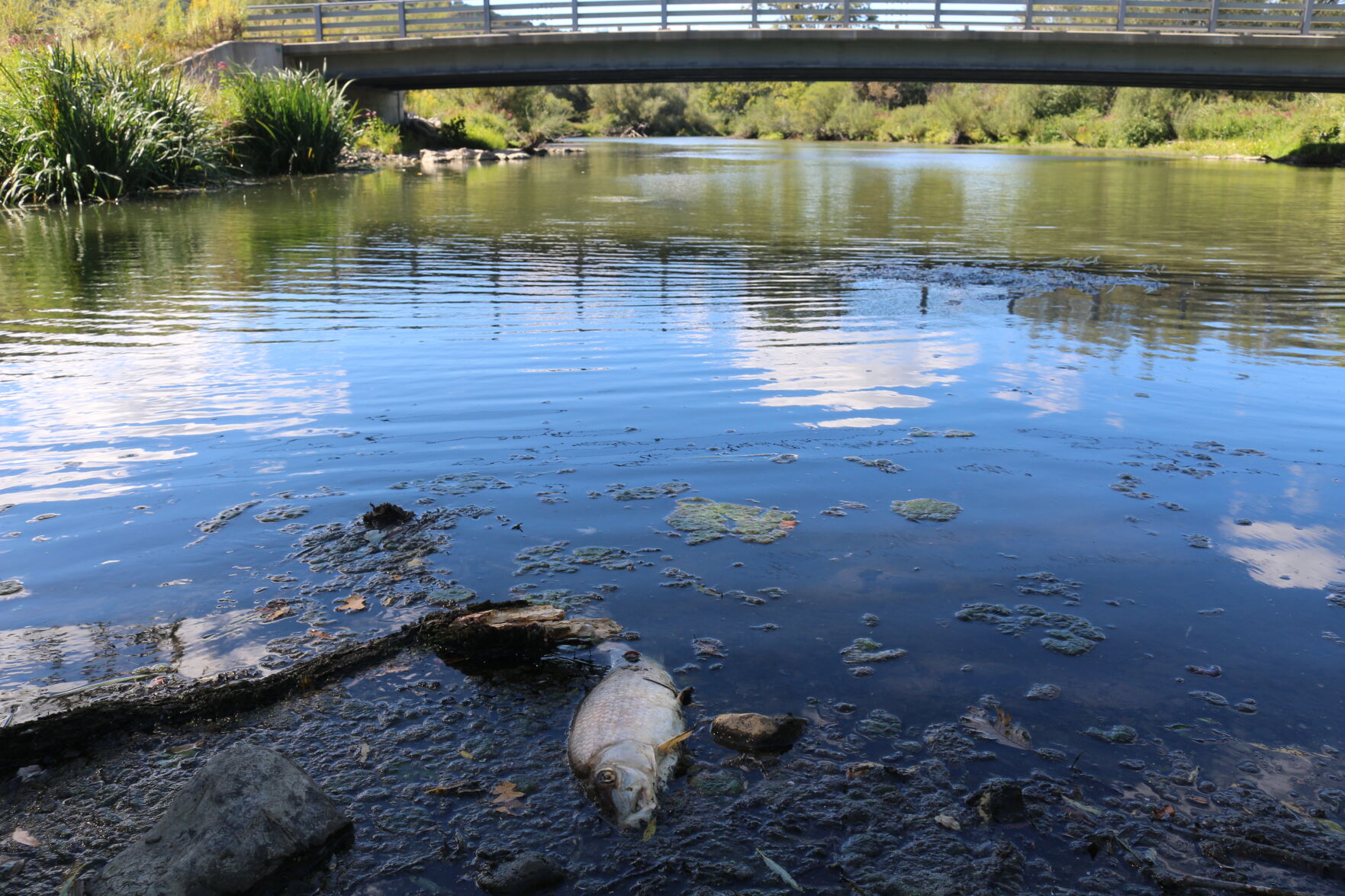 Details scarce on discharge that devastated Ischua Creek
