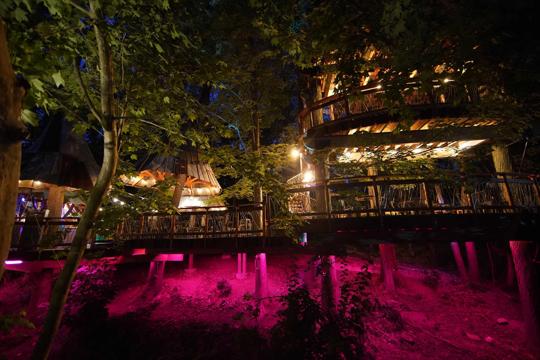 For Blueberry Treehouse Farm, the area's first treehouse cafe, the sky ...