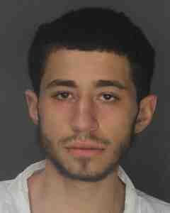 Buffalo man pleads guilty to attempted murder for firing shot at police ...