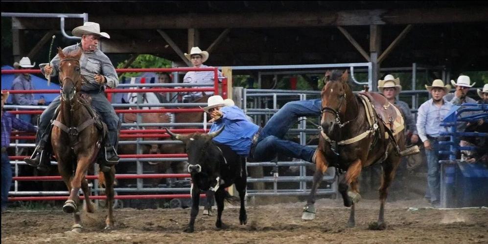 Take a drive to festivals throughout WNY