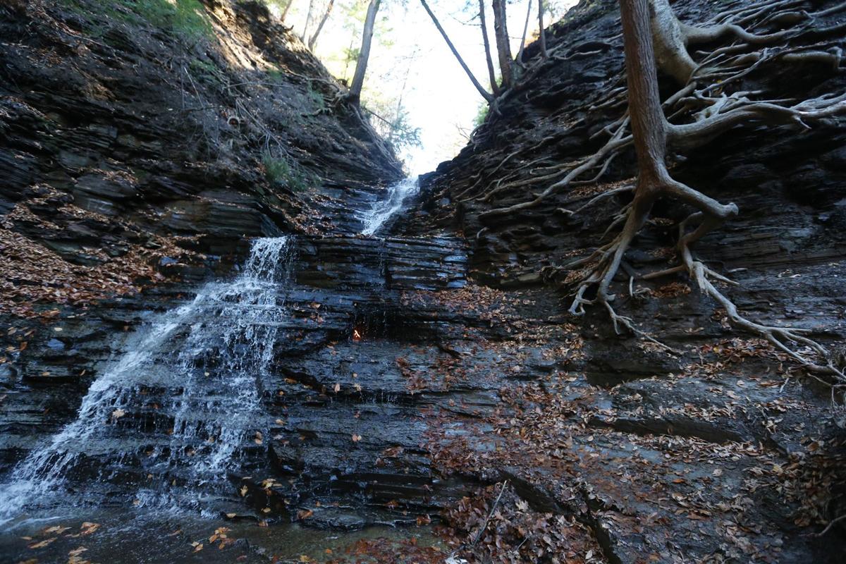 100 things: Visit the Eternal Flame at Chestnut Ridge Park | Multimedia ...