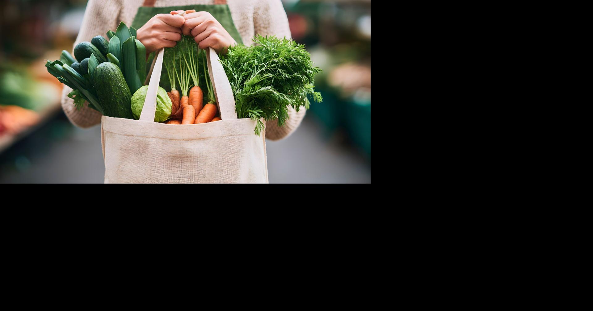 SNAP work requirement should be easy to meet