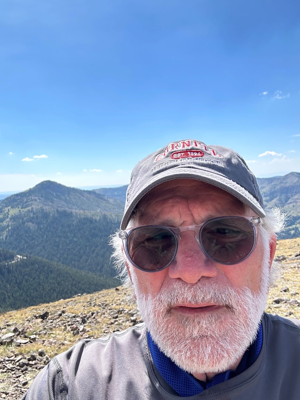 Yellowstone's marvels must be enjoyed on multiple visits.