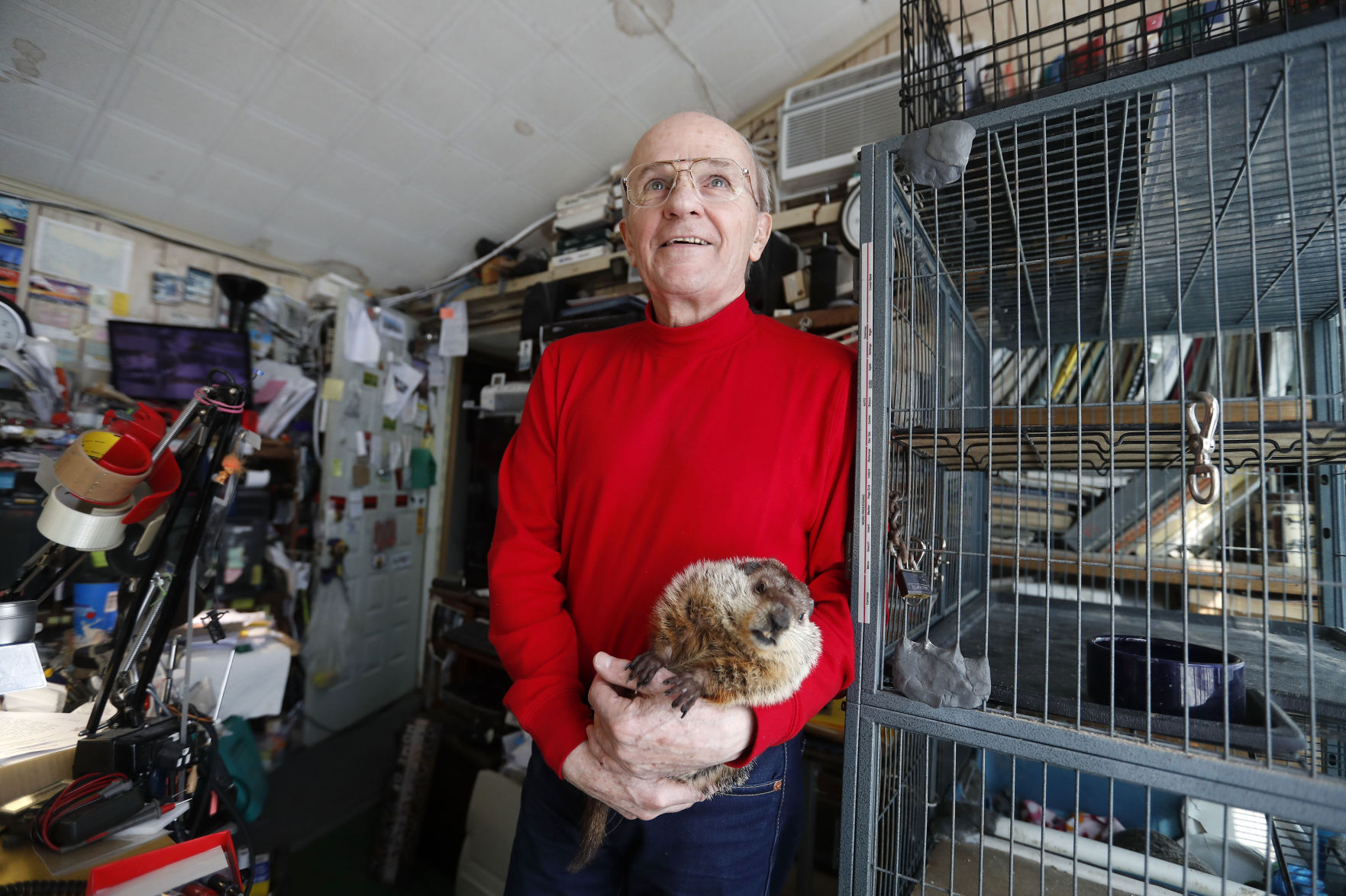 Dunkirk Dave (yes, the groundhog) runs on Portage Pie