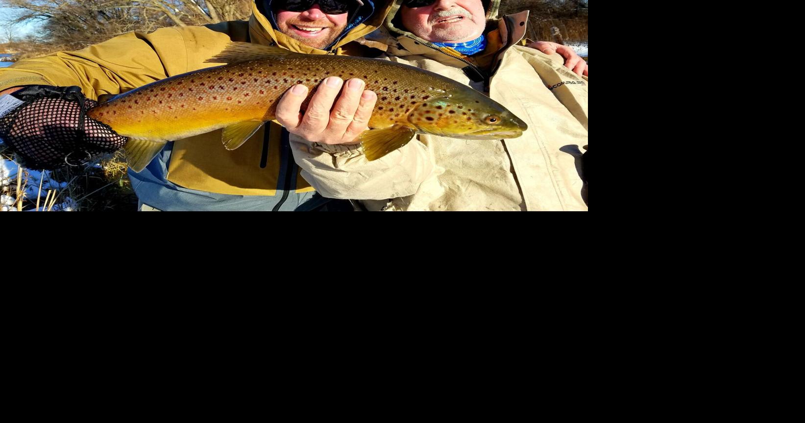 Comments sought on Deer Management Plan draft and other outdoors notes