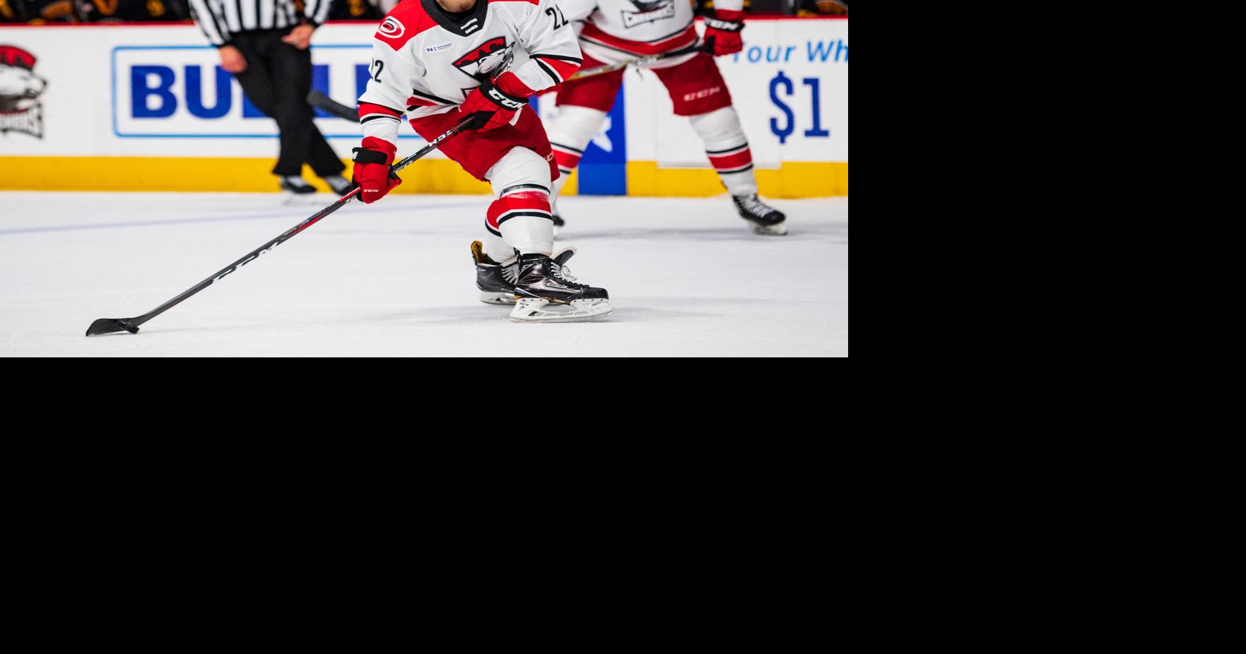 Williamsville's Andrew Poturalski hoping for another NHL chance with ...