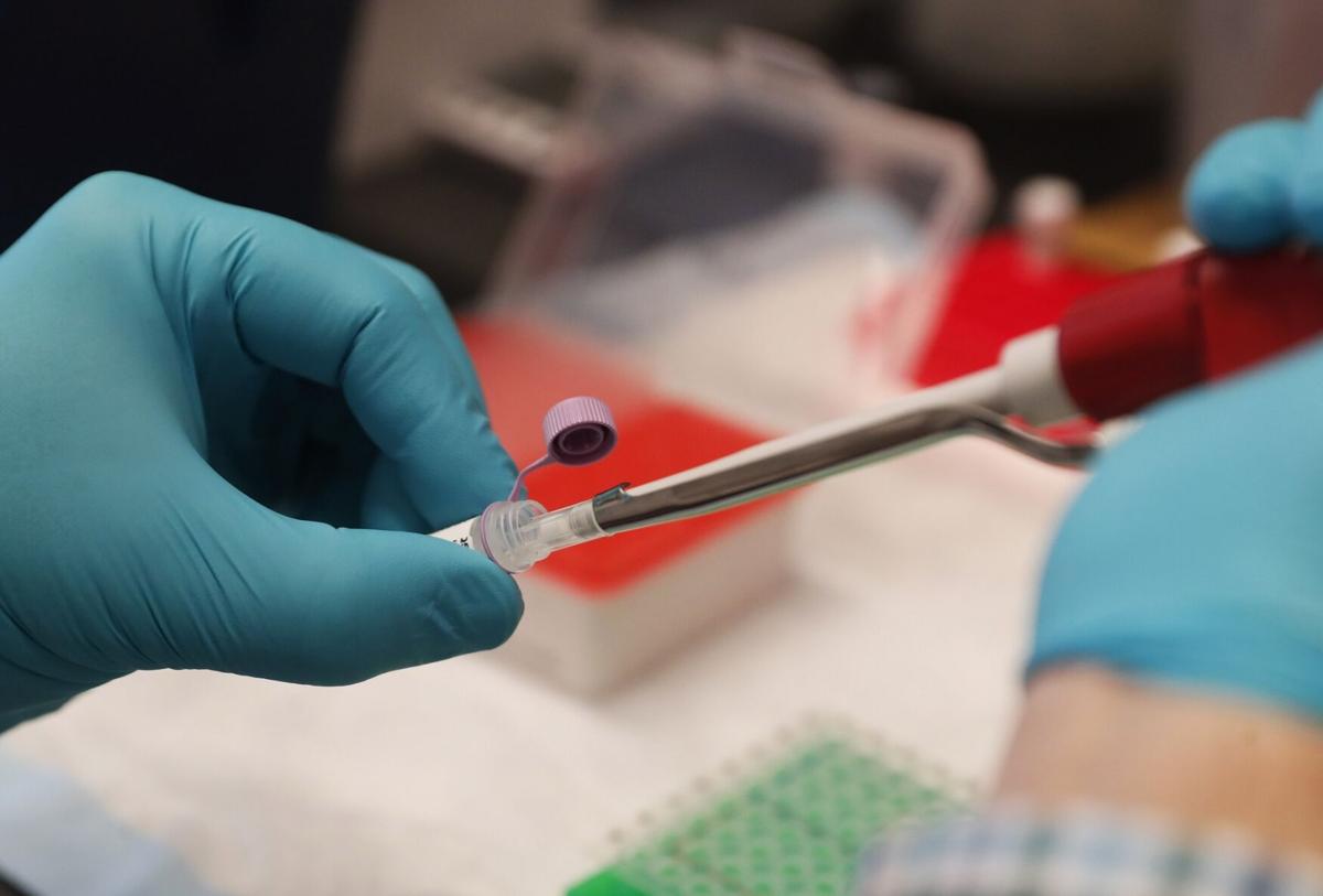 Omicron dominance wrecked the holidays for many. Could a subvariant ...