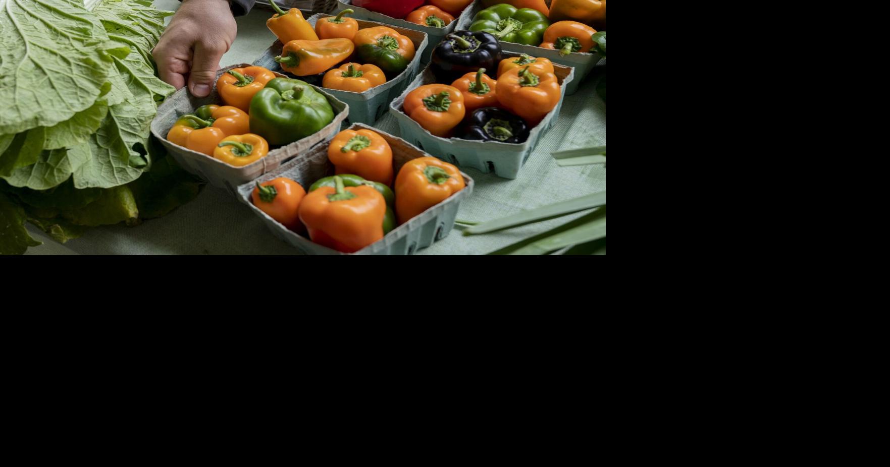 Food as Medicine: Why everyone should have access to a healthy diet