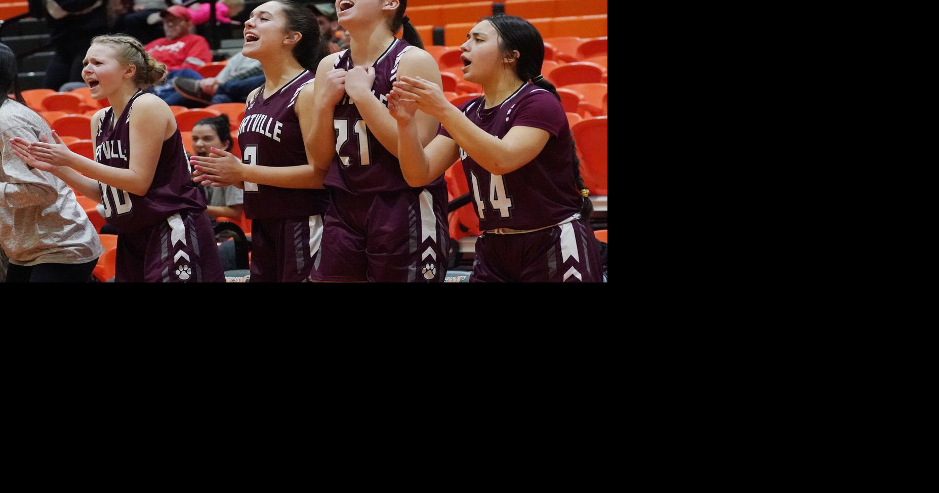 Portville, Southwestern girls to meet for Section VI title