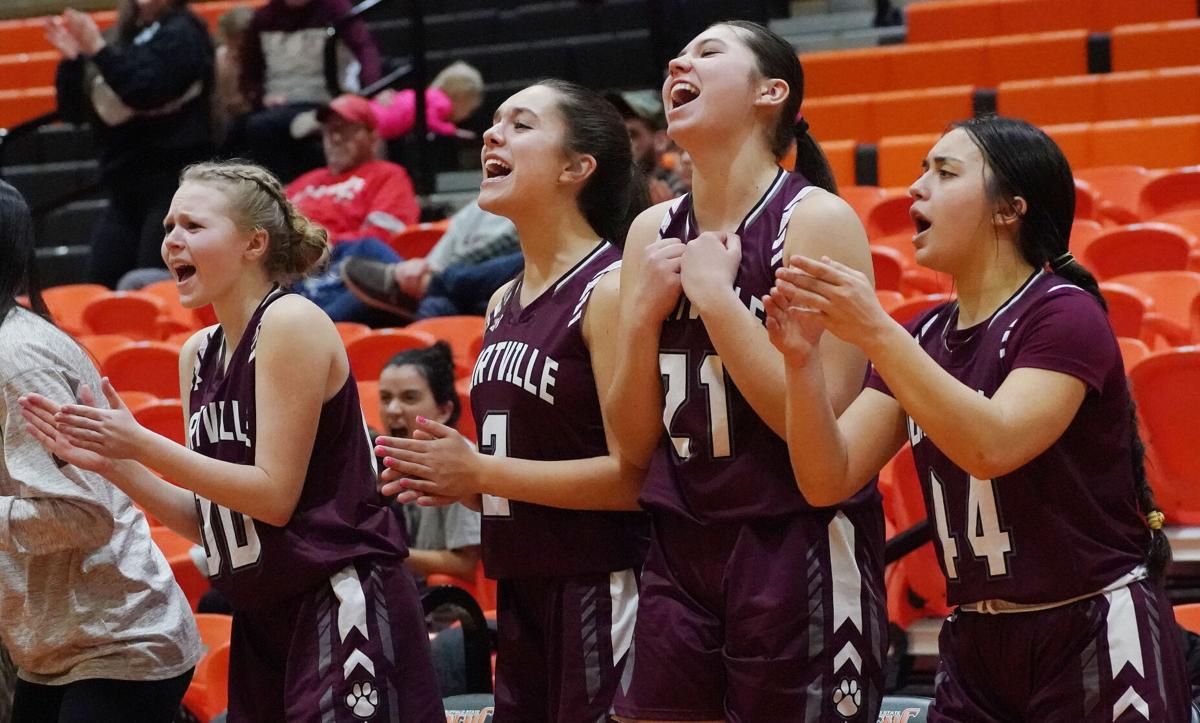 Portville, Southwestern girls to meet for Section VI title