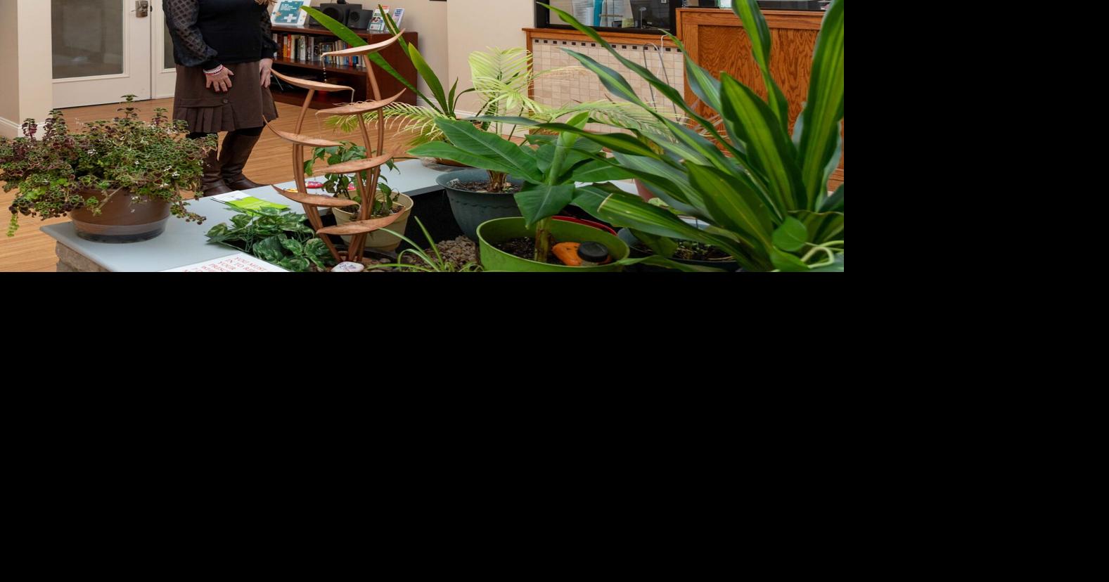 Harmonia Collaborative Care starts free caregiving series