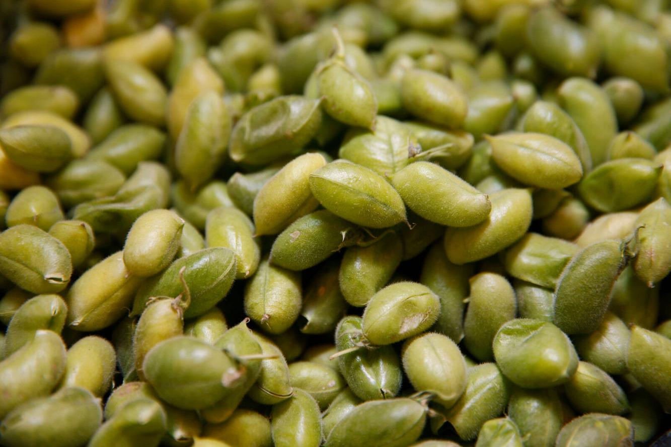 Your guide to Buffalo Fresh, another East Side market filling new needs