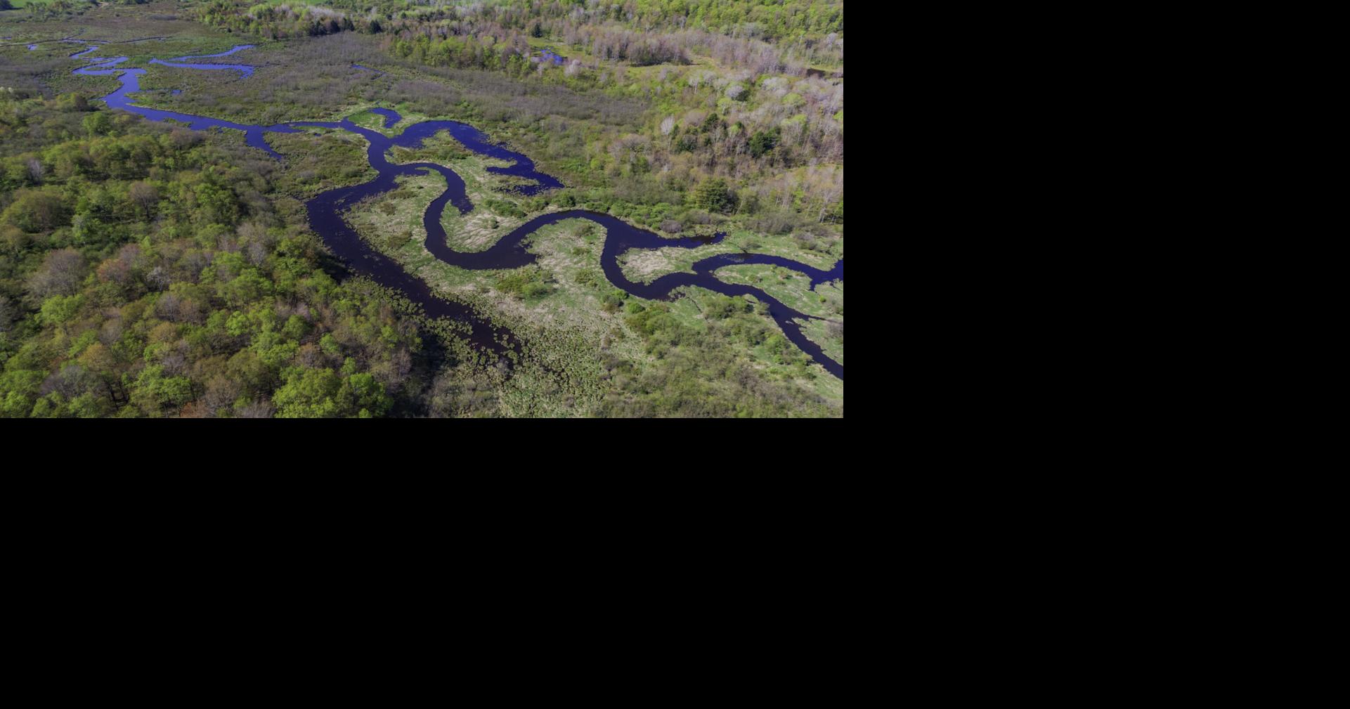 Land conservation can help fight climate change effects