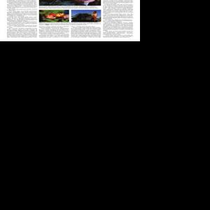 Page Y3