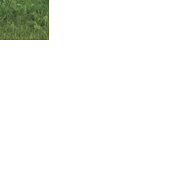 Free Kamala Harris For President Window and Lawn Signs! | Local News ...