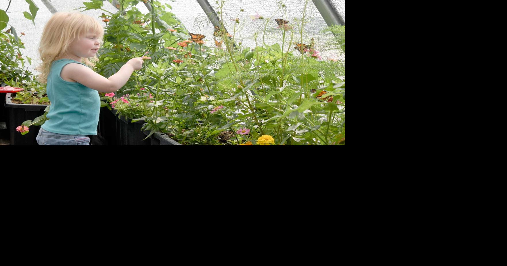 Butterfly Affects: Local couple leads a nationwide effort to ...