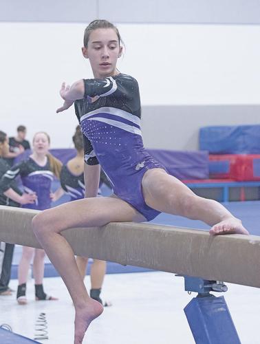 Gerber, Hol and Weiss are state-bound gymnasts | Sports ...