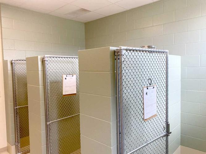 Humane Society’s needs are growing - Part 2 | News ...