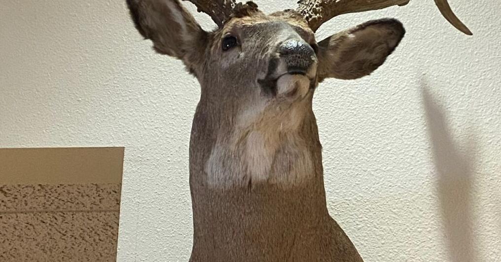 Pearson Buck statue effort advances | News | burnettcountysentinel.com