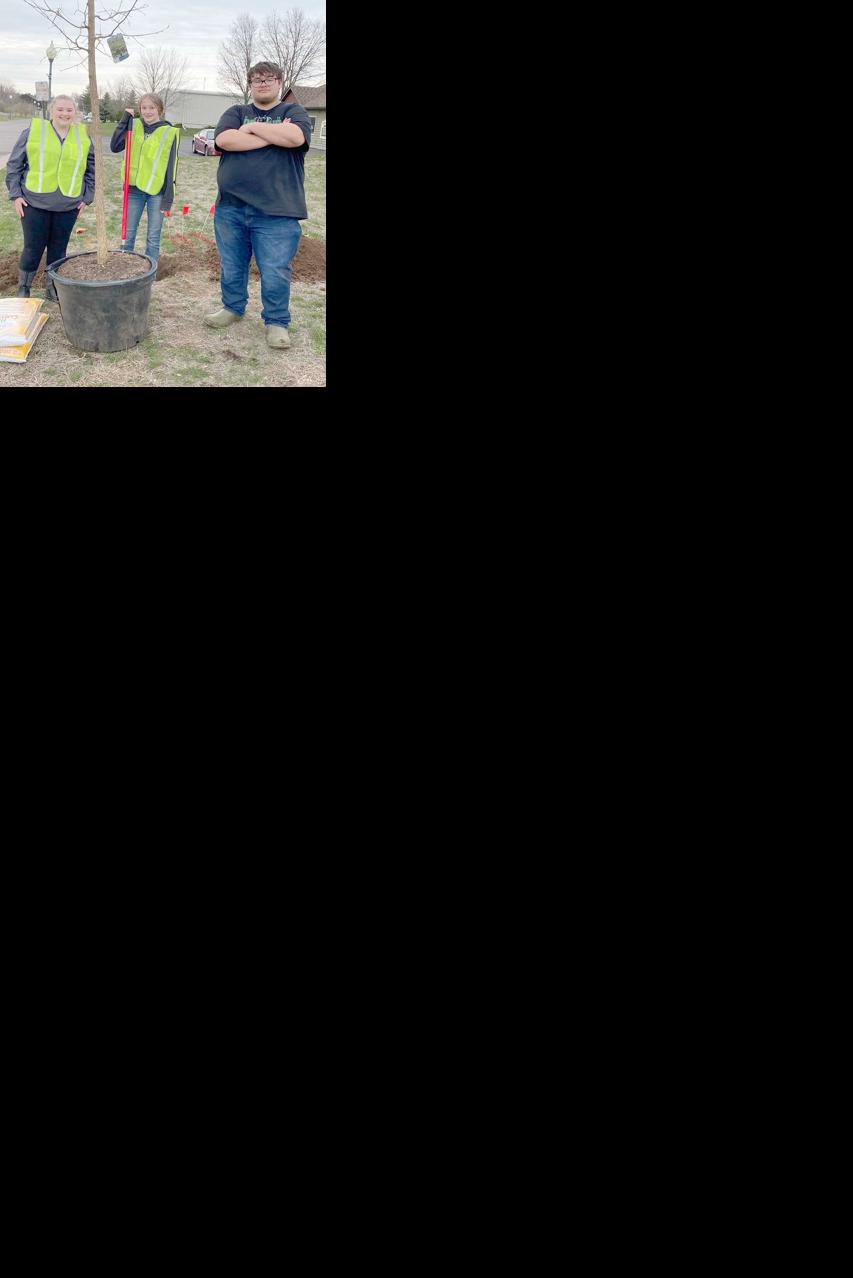 Siren Tree Project | News | burnettcountysentinel.com