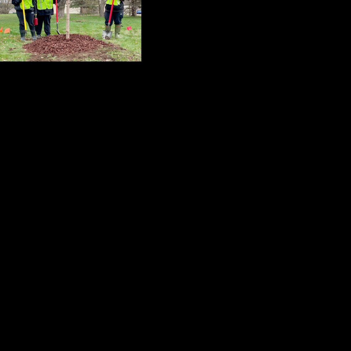 Siren Tree Project | News | burnettcountysentinel.com
