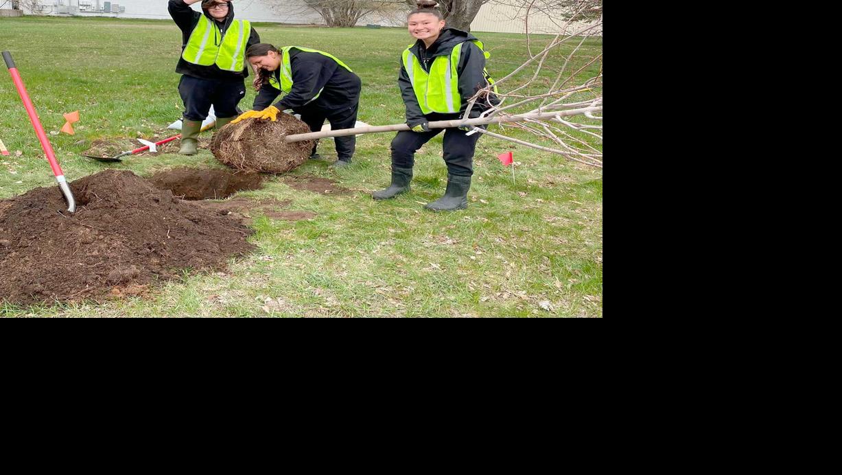 Siren Tree Project | News | burnettcountysentinel.com
