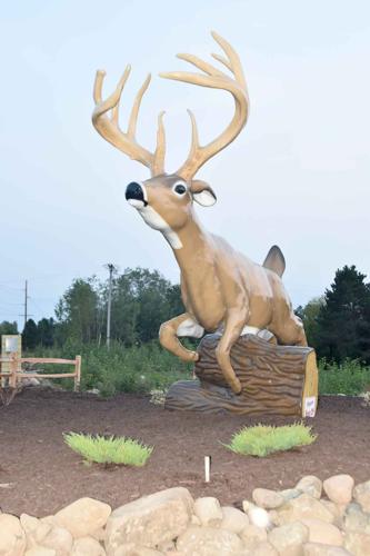 Jordan Buck Day arrives - thanks to volunteer efforts | News ...